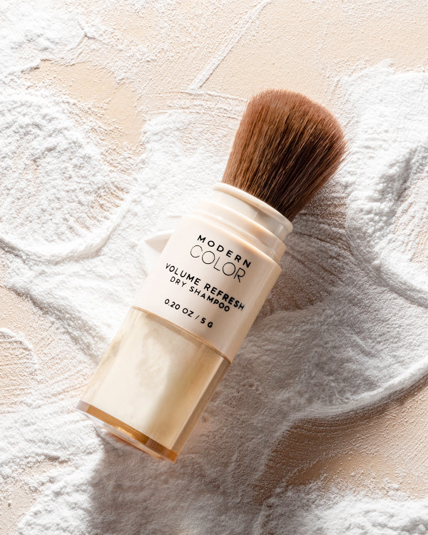 Volume Refresh Dry Shampoo Powder Brush – Modern Color