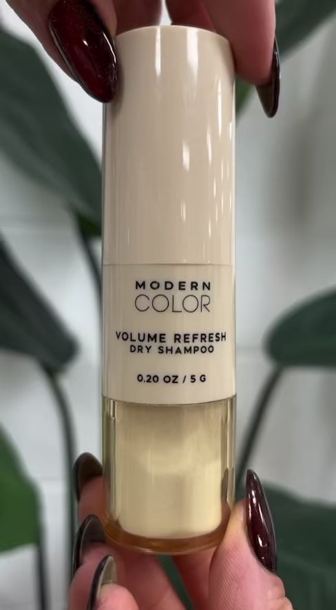 Volume Refresh Dry Shampoo Powder Brush – Modern Color